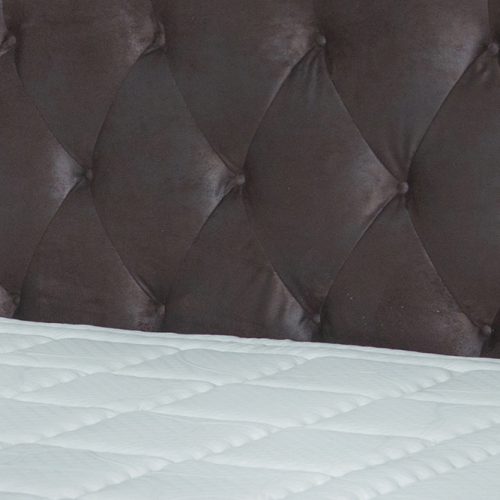 FELIX | | FORTE FLEX